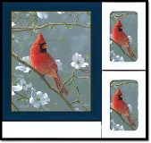 Northern Cardinal Prayer Cards