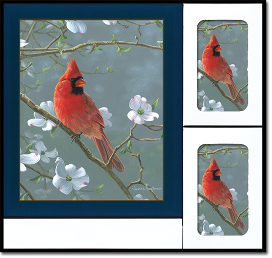 Northern Cardinal Box Set