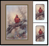 Cardinal Display Sheets