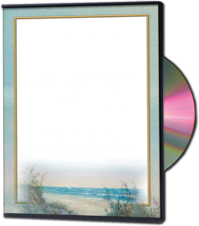 The Beach DVD Cover Inserts