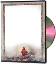 Cardinal DVD Cover Inserts