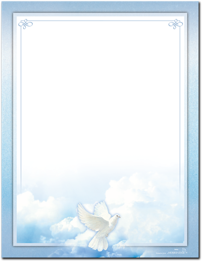 White Wings Display Sheets