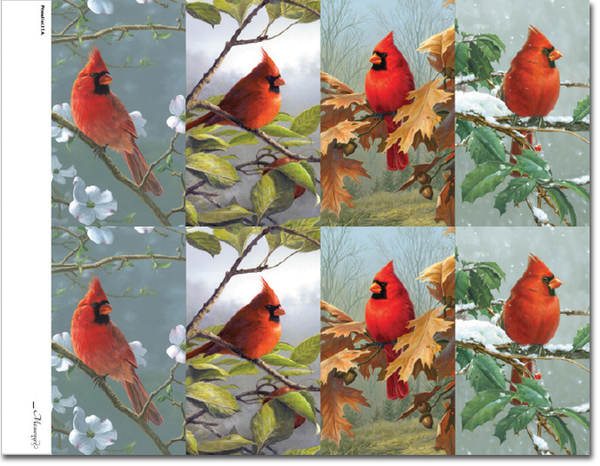 Northern Cardinal Prayer Cards