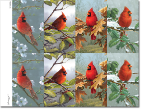 Northern Cardinal Prayer Cards