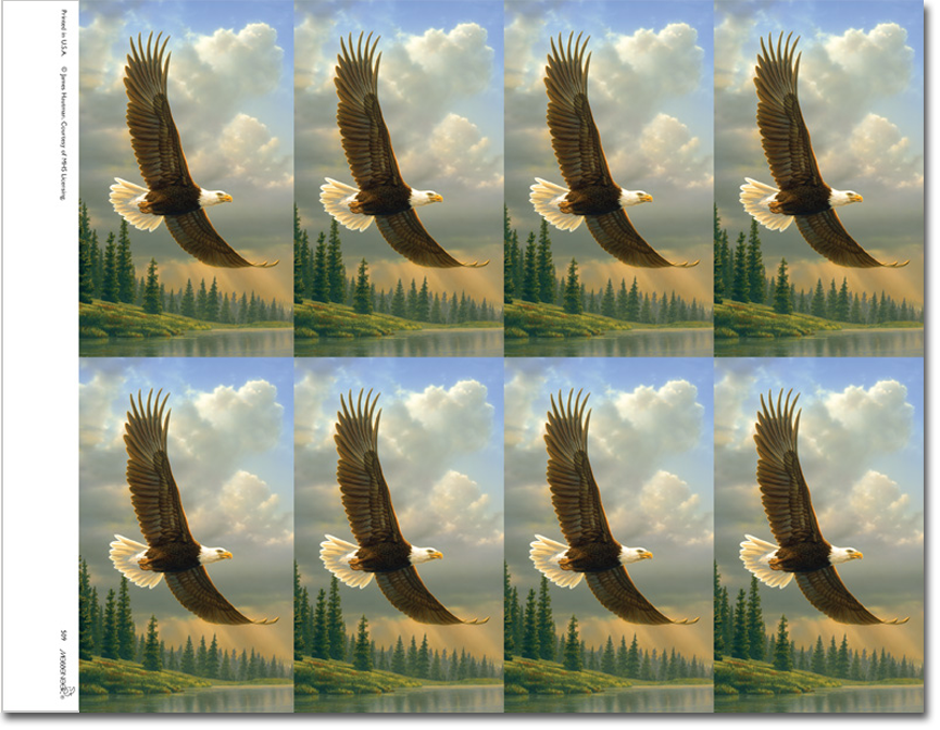 Soaring Prayer Cards