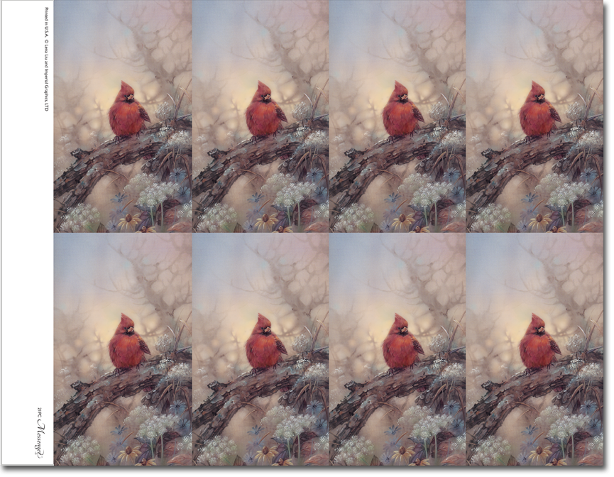 Cardinal Prayer Cards