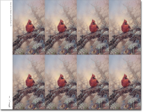 The Cardinal Register Book