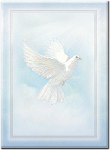 Divine Flight Service Folders