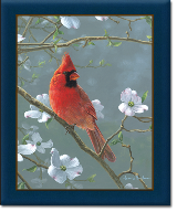 Northern Cardinal Prayer Cards