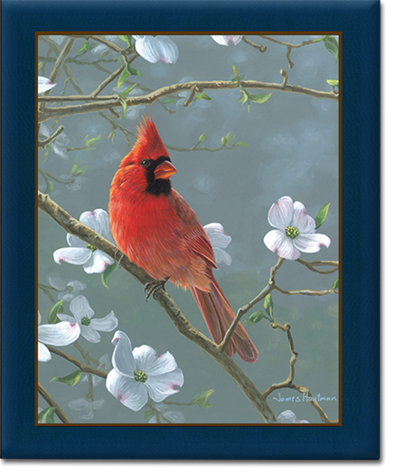 Northern Cardinal Register Book