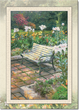 Eternal Springtime Box Set