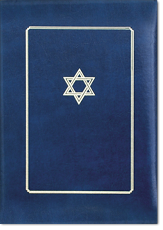 Blue Jewish Series