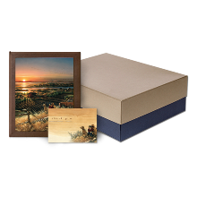 Daybreak Box Set