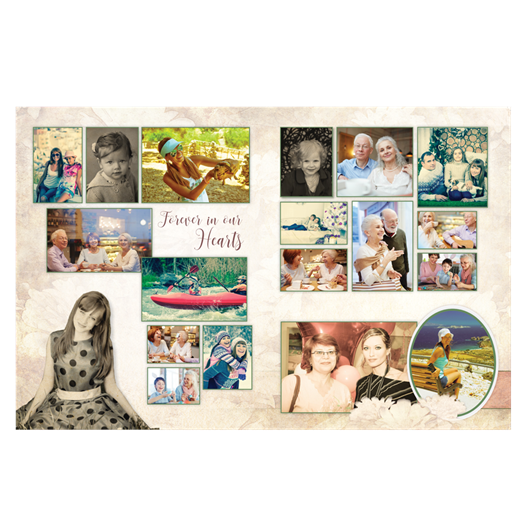 Blush Signature Oversized Program