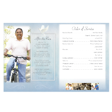 Divine Flight Signature Oversized Program