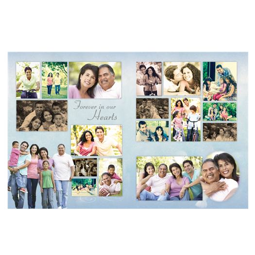 Divine Flight Signature Oversized Program