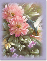 Gracious Gardens Box Set