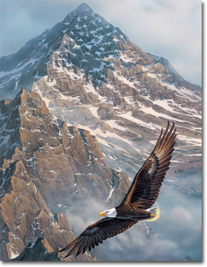 On Freedom's Wing Service Folders