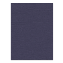 Blue Presentation Folder