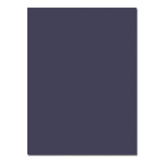 Blue Presentation Folder