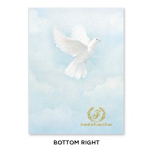 Divine Flight Presentation Folder