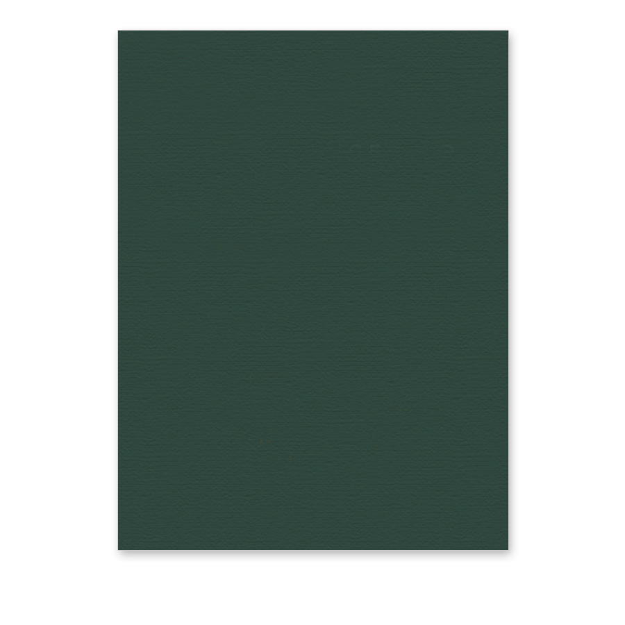 Green Presentation Folder