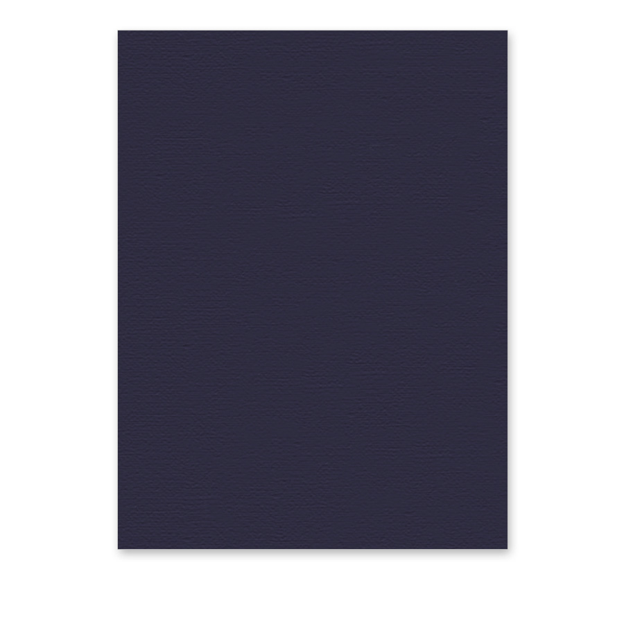 Blue Presentation Folder