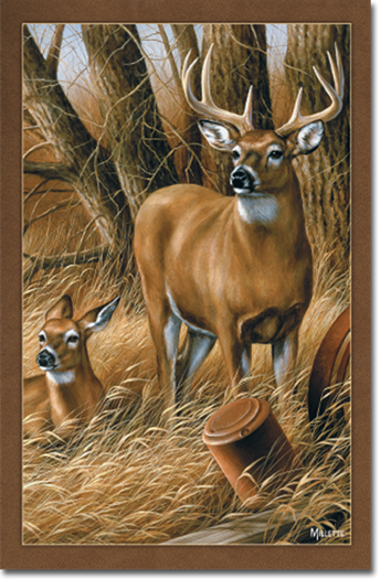 Rustic Retreat Series