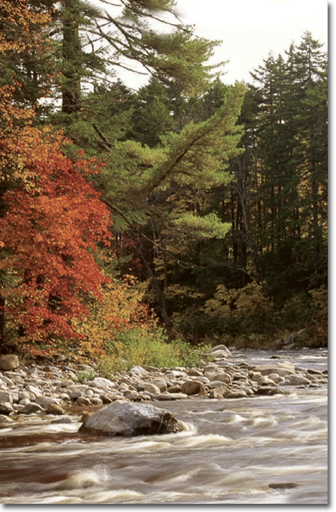 Winding Stream Series