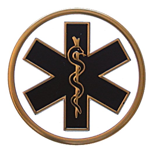 Paramedic Medallion