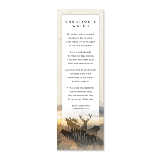 Outdoor Journey Box Set