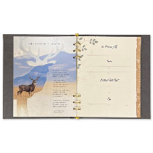 Outdoor Journey Box Set