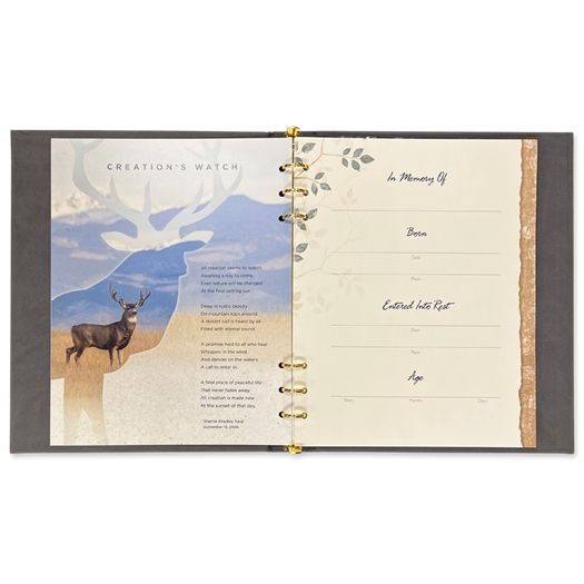 Outdoor Journey Box Set