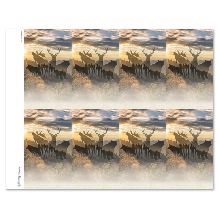 Outdoor Journey Prayer Cards