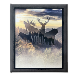 Outdoor Journey Box Set