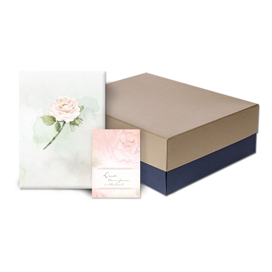 Pastel Petals Box Set