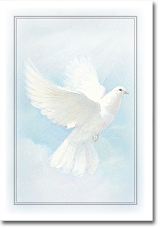 Divine Flight Service Folders