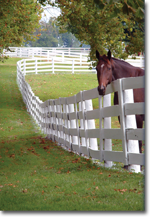 Peaceful Pasture Acknowledgement