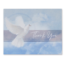 Divine Flight Deluxe Acknowledgement