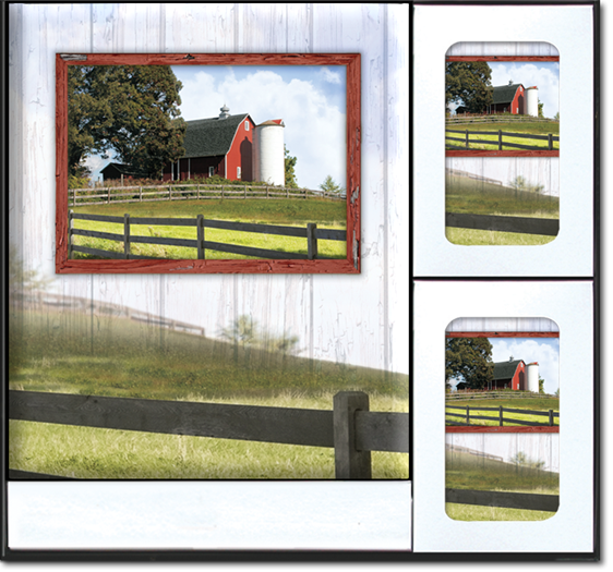 Country Life Box Set