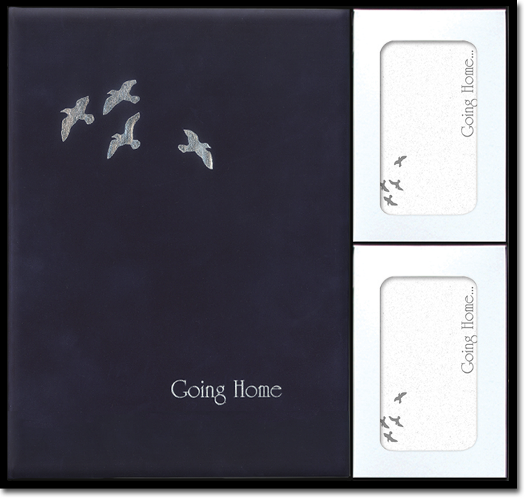 Going Home Box Set