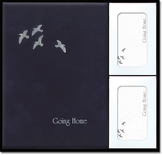 Going Home Box Set