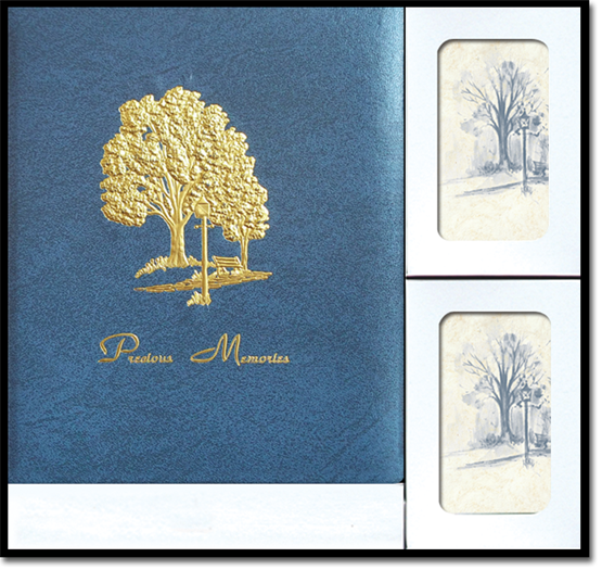 Precious Memories Box Set