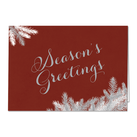 Season's Greetings Holiday Card