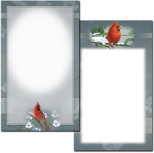 Northern Cardinal Memory Cards