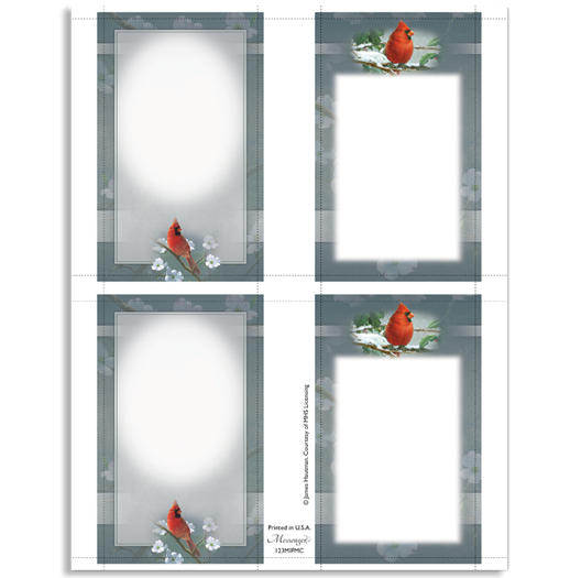 Northern Cardinal Memory Cards