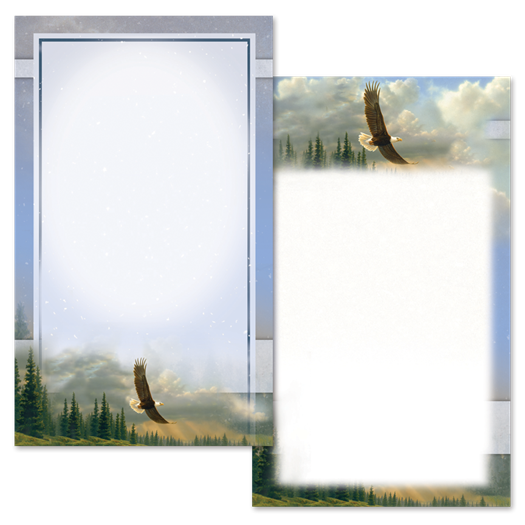 Soaring Memory Cards