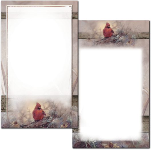 Cardinal Memory Cards