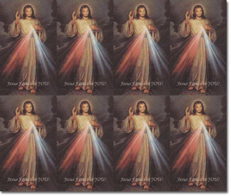 The Divine Mercy Prayer Cards