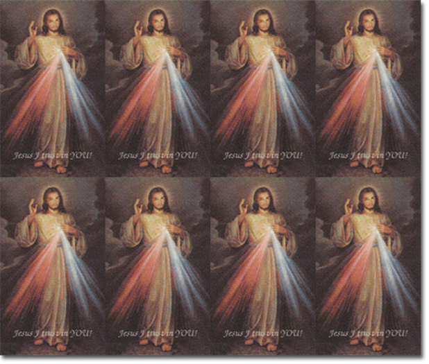 The Divine Mercy Prayer Cards